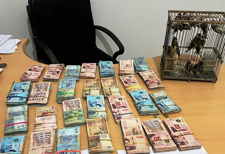 تاجروين: حجز 27 ألف دينار و14 عصفورا نادرا – Assarih