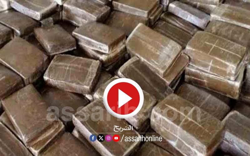 1000 صفيحة زطلة على متن حاوية بميناء بنزرت (فيديو) – Assarih