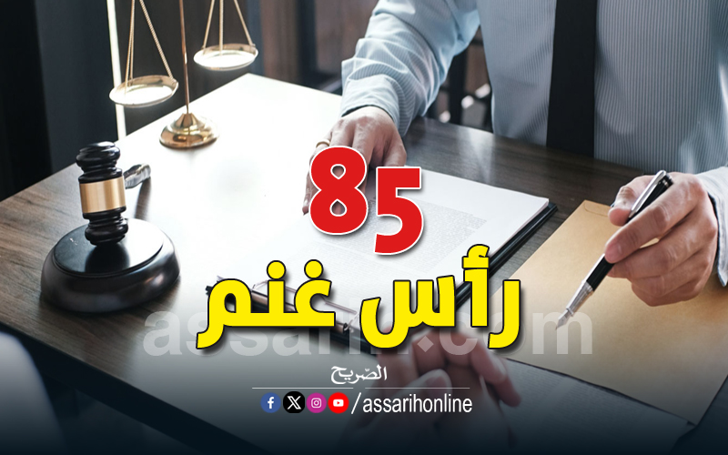 سوسة: قضية 85 رأس غنم تحيل 8 موظفين عموميين أمام التحقيق – Assarih