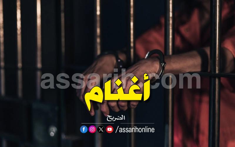 القيروان: الاطاحة بـ لص قطيع الأغنام – Assarih