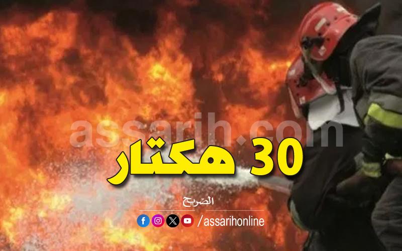 باجة: حريق يأتي على 30 هكتارا من القمح الصّلب – Assarih