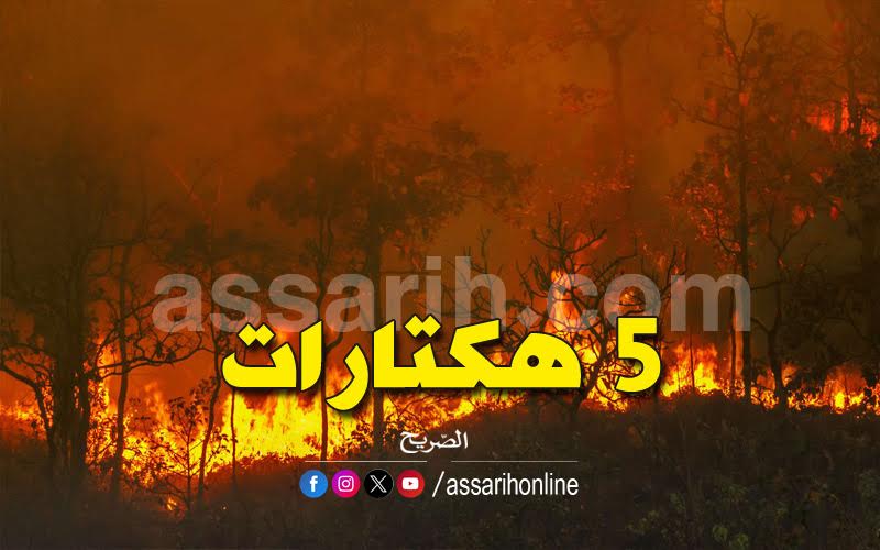 حريق ضخم يلتهم 5 هكتارات من غابة غار الدماء – Assarih