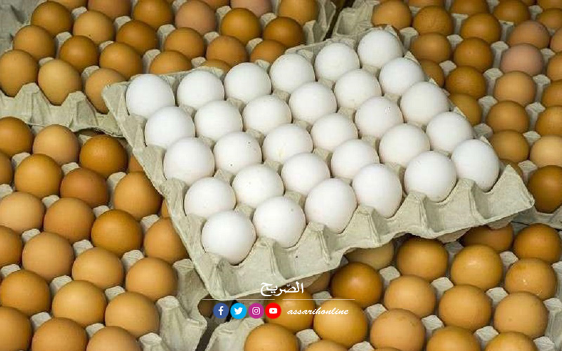 المنستير: حجز 66 ألف بيضة بمخزن عشوائي – Assarih