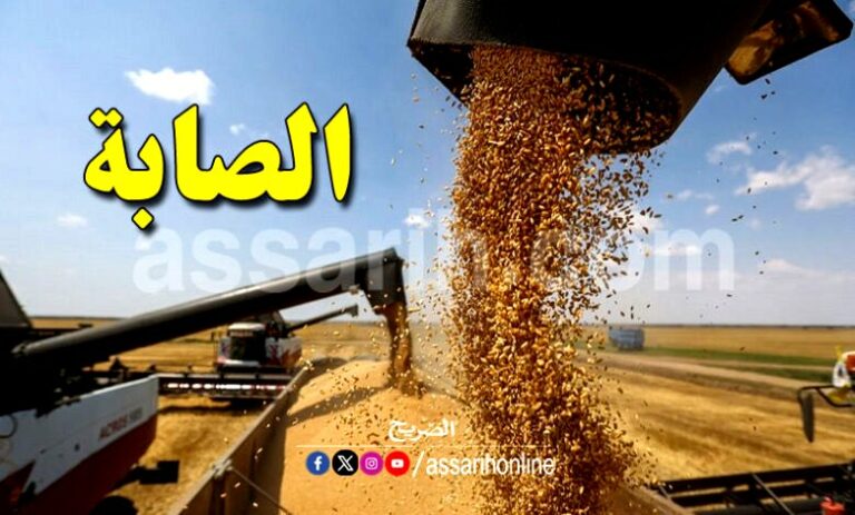 منوبة: انطلاق موسم الحصاد وتوقّعات بصابة هي الأفضل خلال الـ 5 أعوام الأخيرة – Assarih