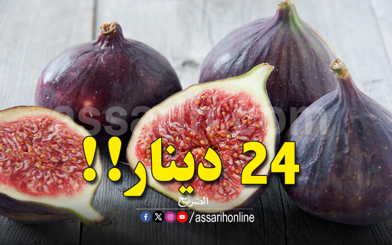 ‘الكرموس’ بـ 24 دينار..نقابة الفلاحين تُفسر الأسباب – Assarih