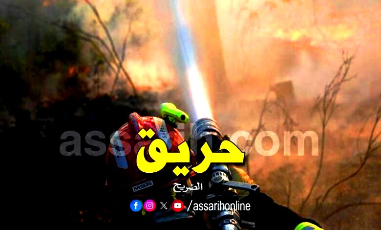 سليانة: جبل بلوطة يشتعل من جديد.. – Assarih