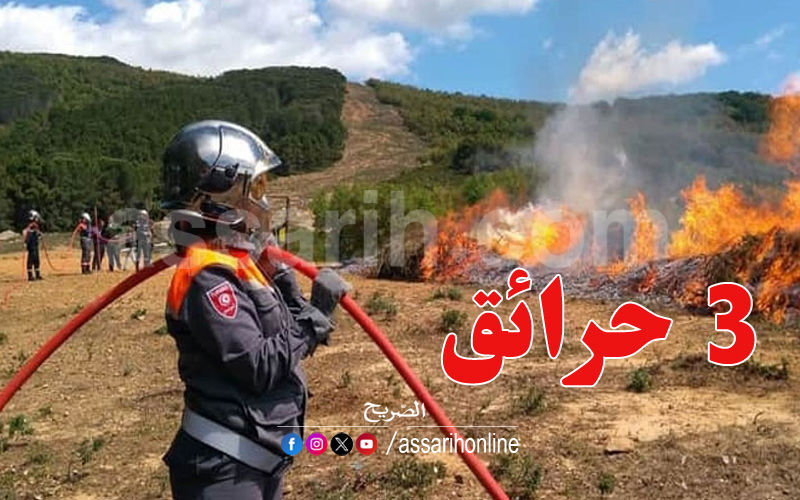سليانة: السيطرة على 3 حرائق جبلية – Assarih
