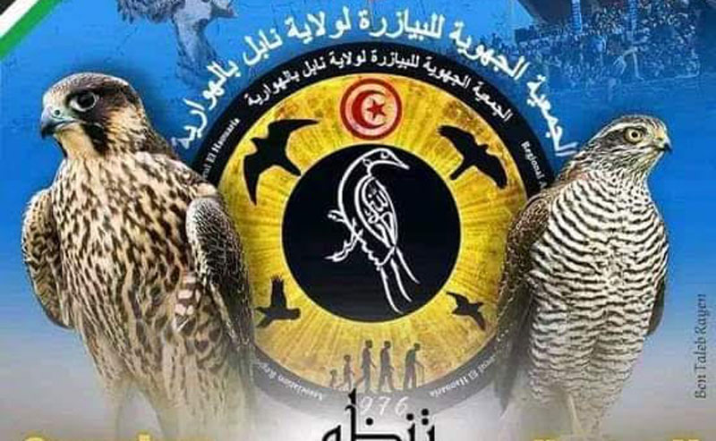 الهوارية: برنامج مهرجان الساف ‘من مرقتو باين عشاه’… والعين بصيرة واليد ...