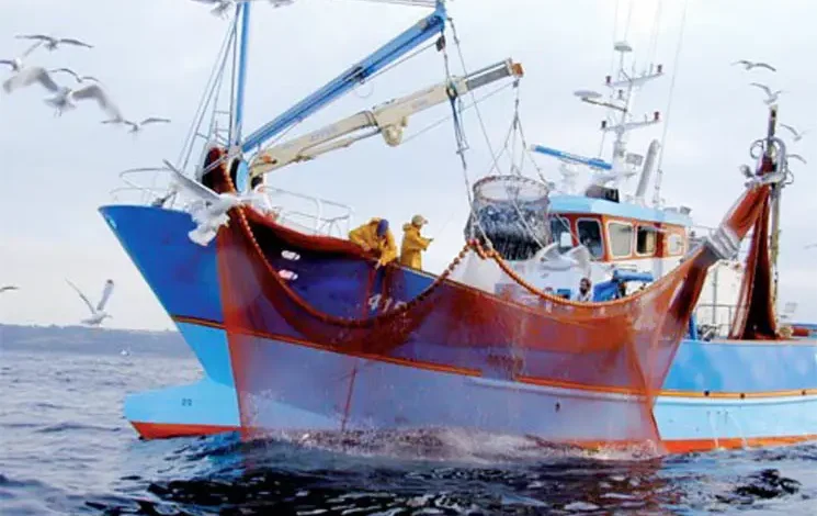 نابل: دعوة لتفعيل الرّاحة البيولوجية إثر تراجع الثروة السمكية – Assarih