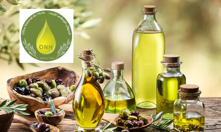 توصيات عاجلة إلى ديوان الزيت في خصوص صابة الزيتون.. – Assarih